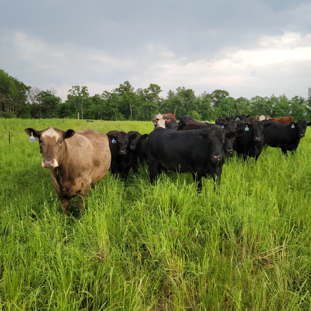 Pasture-Raised Meat Delivered in Chicago | Local Pastures