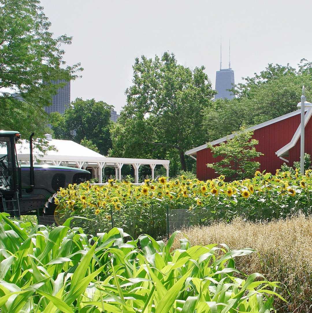 Pasture-Raised Meat Delivered in Chicago | Local Pastures